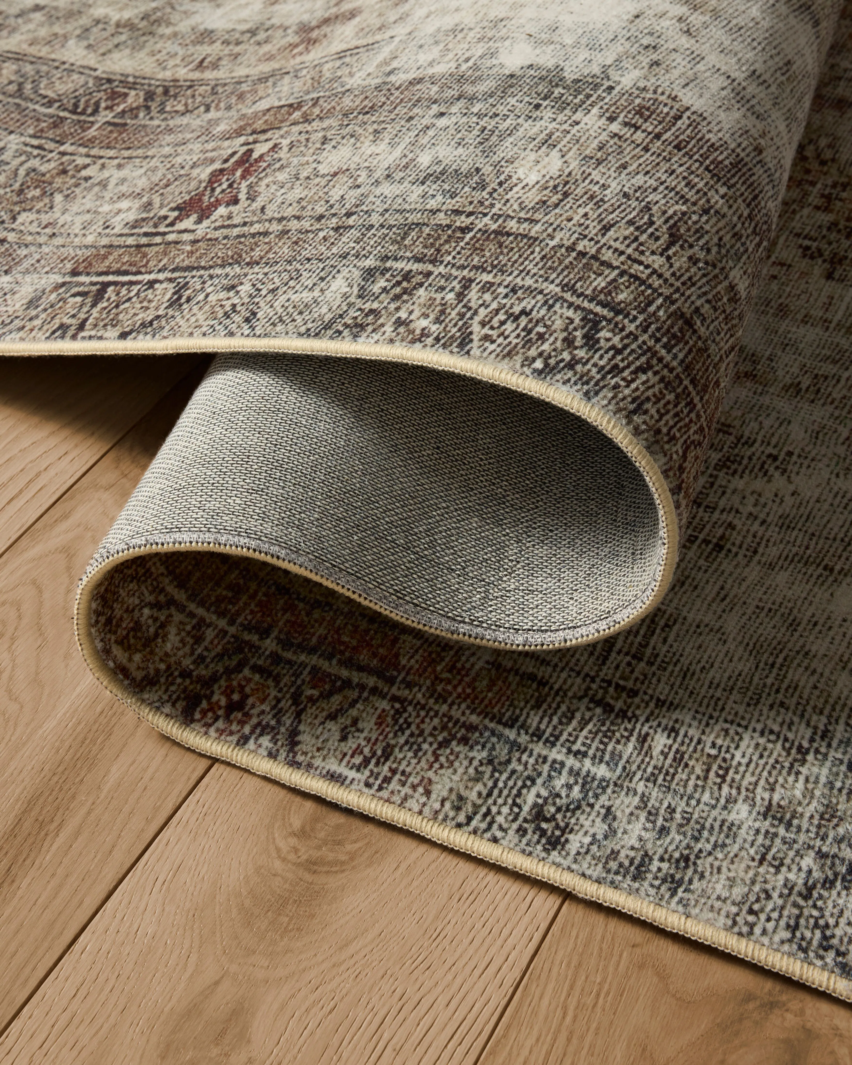 Paola Washable Printed Rug | Joon Loloi